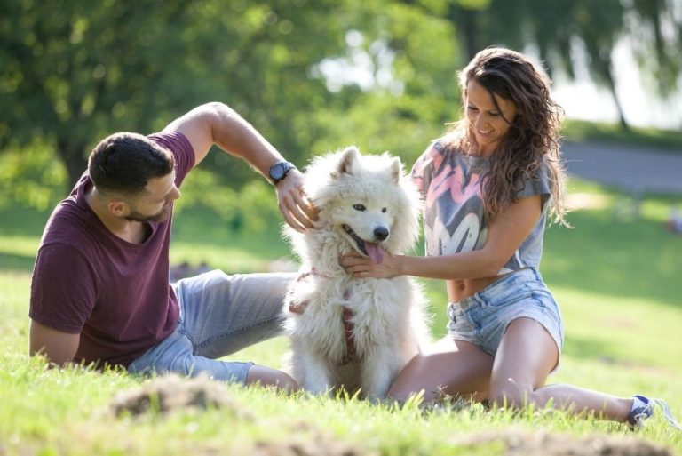 Know 8 Tips on How to Make Positive Life Choices | TheMindFool