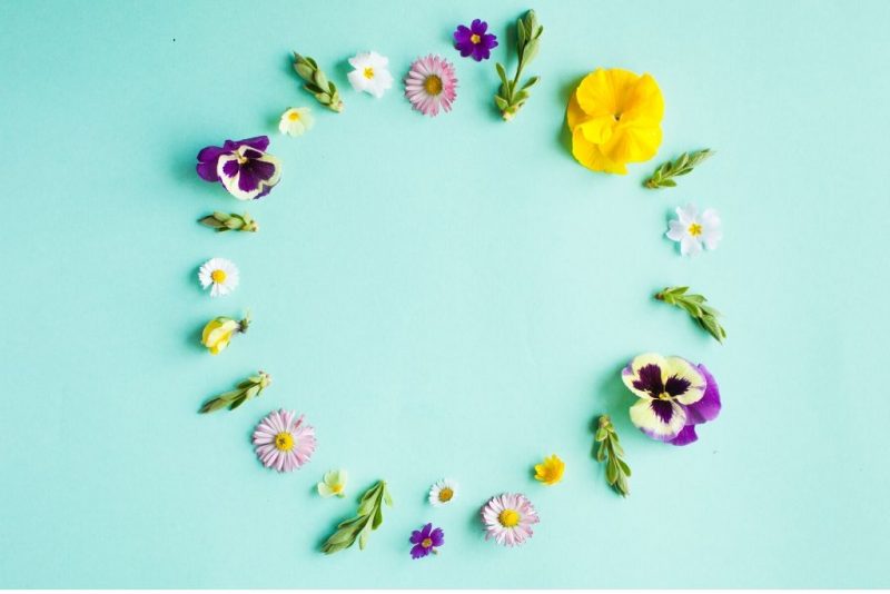 Tree of Life Meaning : What is it and its Symbolism | TheMindFool