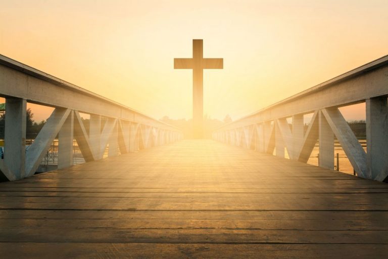 Tree of Life Meaning : What is it and its Symbolism | TheMindFool