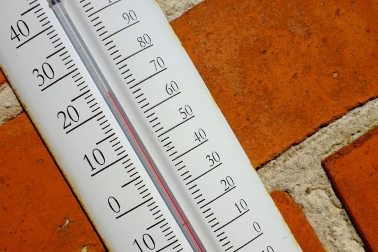 What is A Spirit Guide & Find Out Who is Your Spirit Guide