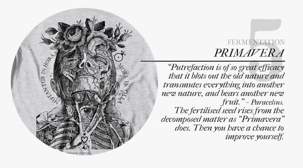 Spiritual Alchemy Meaning and 7 Stages of It | TheMindFool