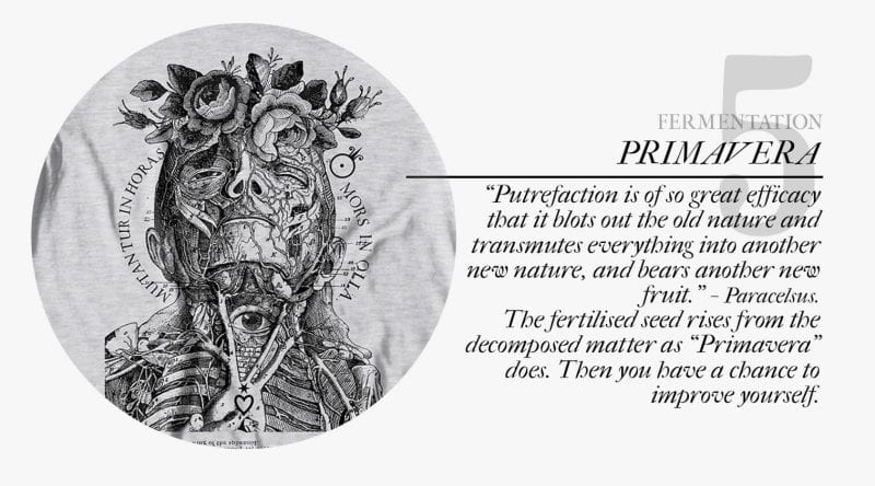 Spiritual Alchemy Meaning and 7 Stages of It | TheMindFool