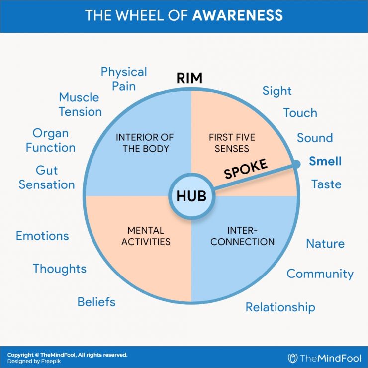 Wheel of Awareness | Wheel of Awareness Meditation | TheMindFool
