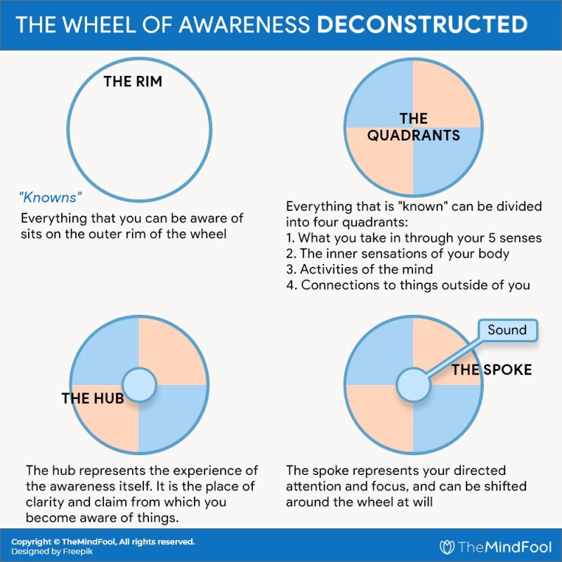Wheel of Awareness | Wheel of Awareness Meditation | TheMindFool