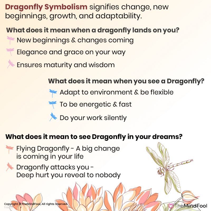 Dragonfly Meaning | Dragonfly Symbolism | Dragonfly Spiritual Meaning