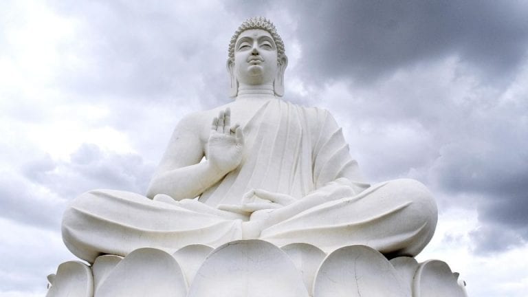 Ahimsa : Its Definition and Significance in Modern Life | TheMindFool