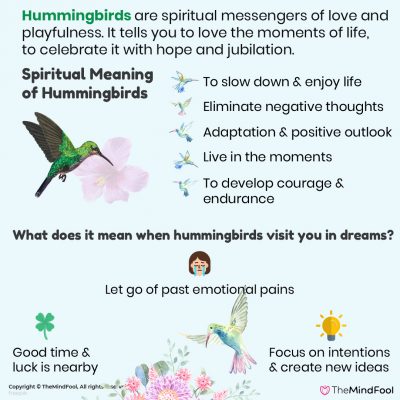 Hummingbird Meaning | Hummingbird Symbolism | Hummingbird Spiritual Meaning