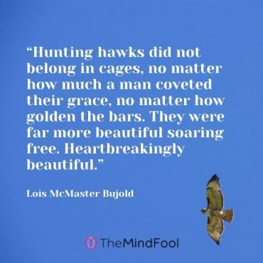 Hawk Symbolism | Hawk Meaning | Hawk Spirit Animal | Hawk Spiritual Meaning