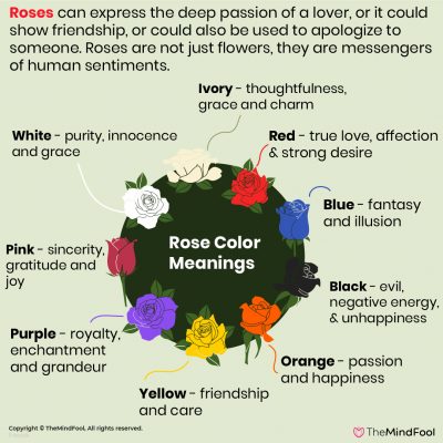 Rose Color Meanings : 17 Shades of Rose Colors | Rose Meaning