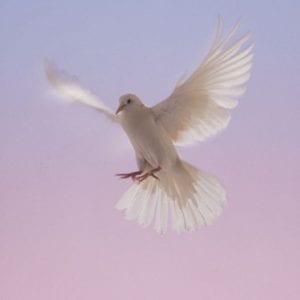 47 Hope Symbols With Meanings: The Complete Guide | Faith Symbol