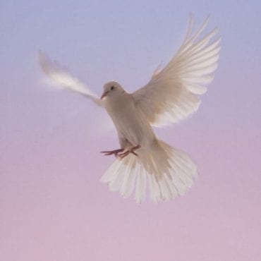 47 Hope Symbols With Meanings: The Complete Guide | Faith Symbol